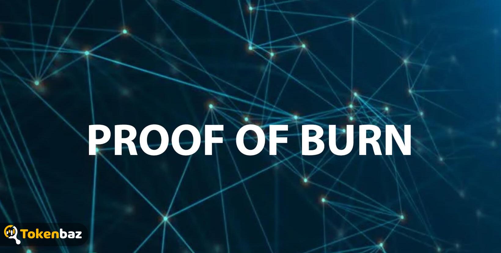 الگوریتم اثبات سوزاندن (Proof Of Burn) چیست و کاربرد آن به چه صورت است ...